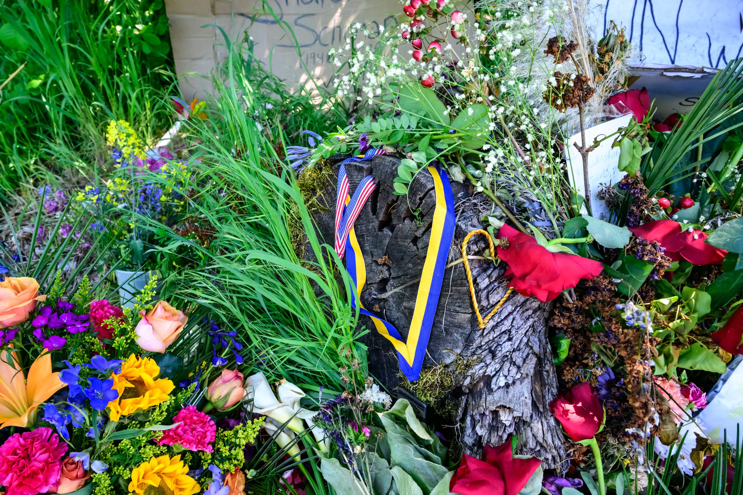 Driver in Schuman case pleads not guilty, released on $175,000 bail - Lookout Eugene-Springfield