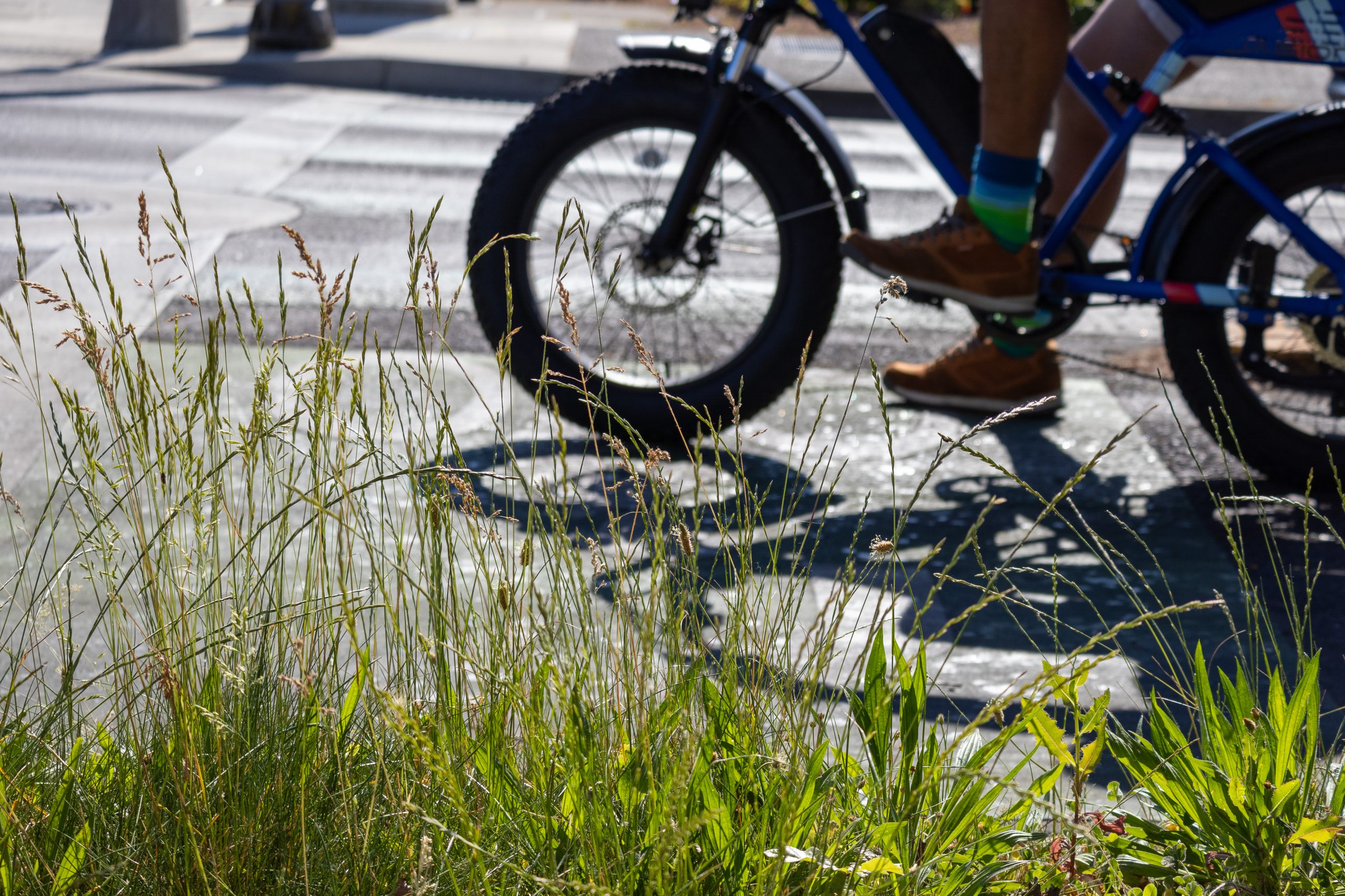 Bike lanes proposed for Polk Street; city begins collecting public ...