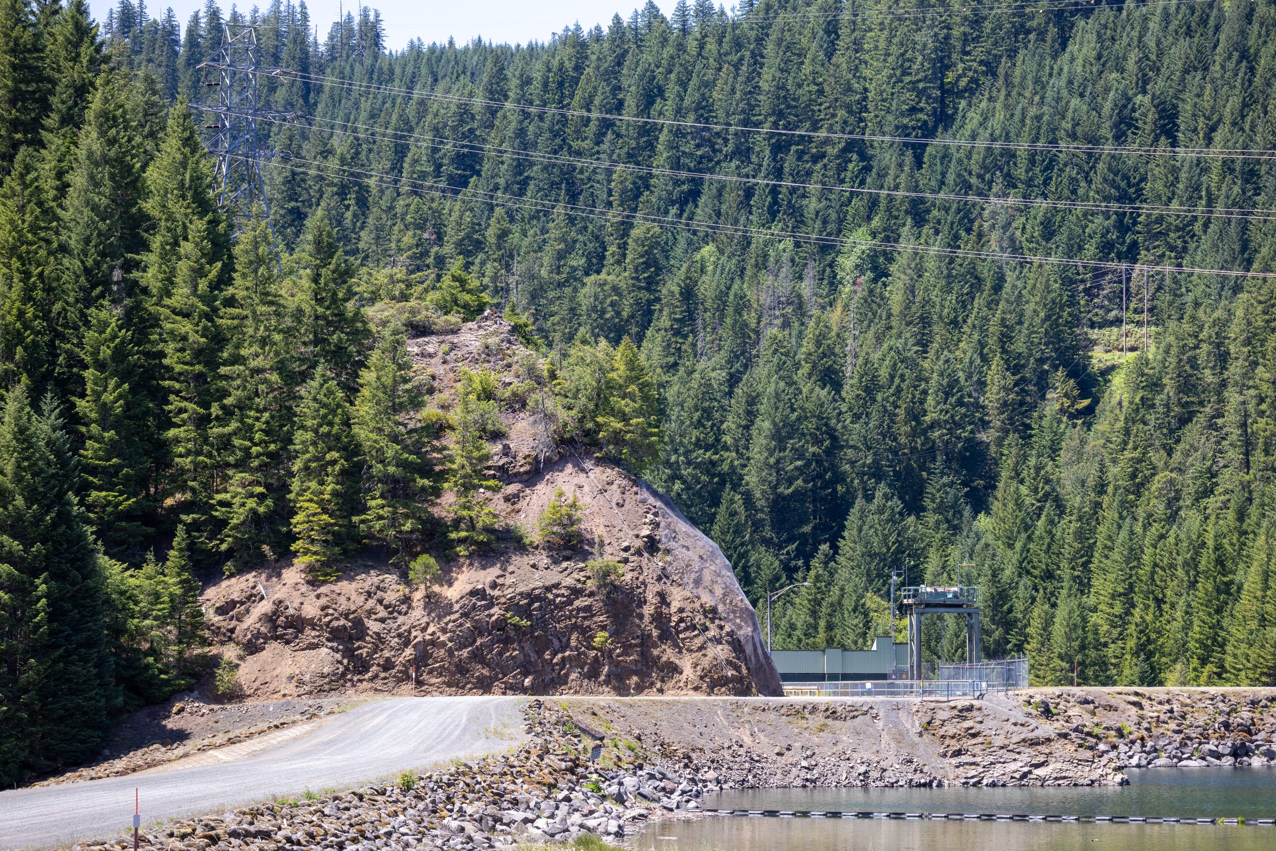 Passage ‘failure’ at EWEB dam killing endangered fish, conservation ...