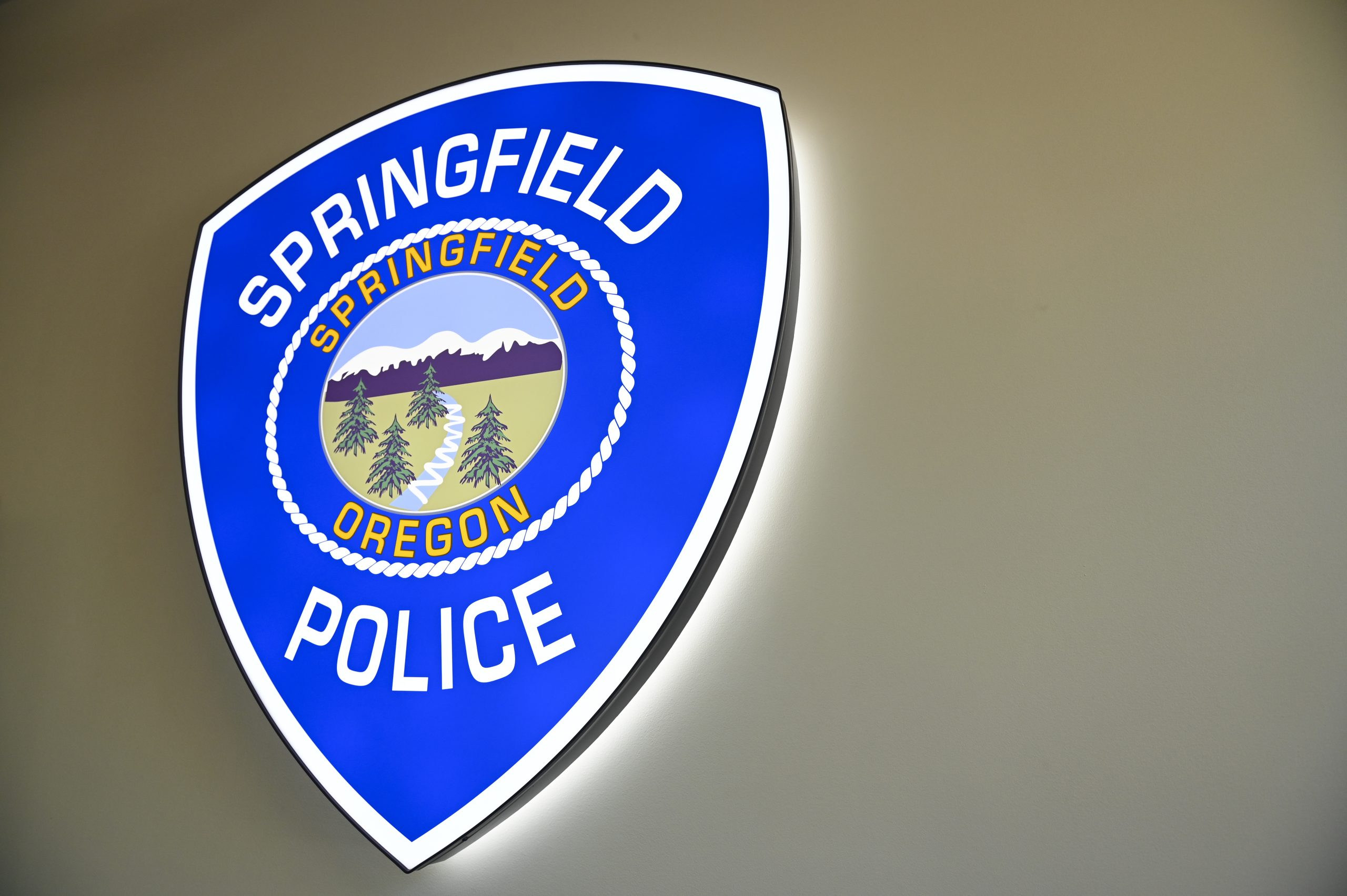 Excessive force lawsuit also claims systemic problems with Springfield police process - Lookout ...