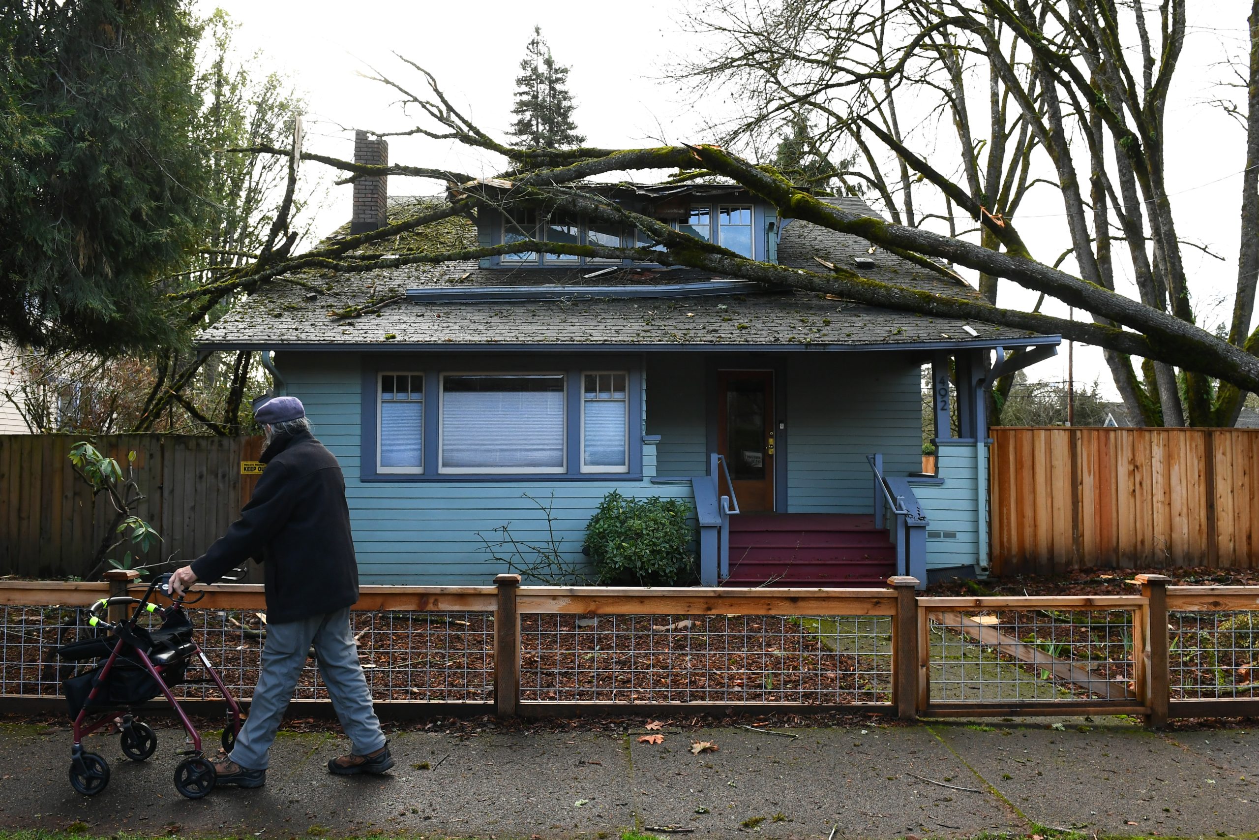 Storm brings down trees, knocks out power; more wind is on the way, and ...