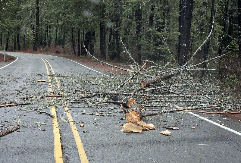 Forecasters issue wind advisory for Lane County, western Oregon ...